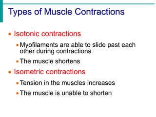 Introduction to Muscle & Its Types | PPTX