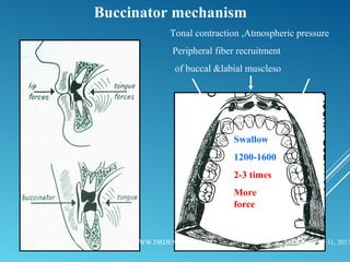 MUSCLES AND MALOCCLUSION IN ORTHODONTICS | PPT