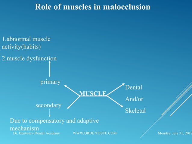 MUSCLES AND MALOCCLUSION IN ORTHODONTICS | PPT | Dental Health ...
