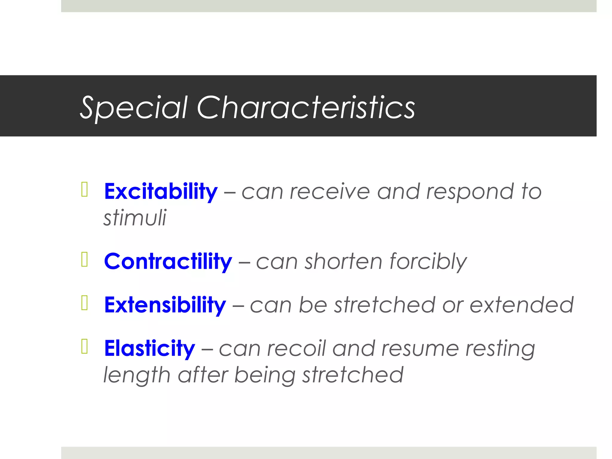 Anatomy & Physiology Lecture Notes - Muscles & muscle tissue | PPT