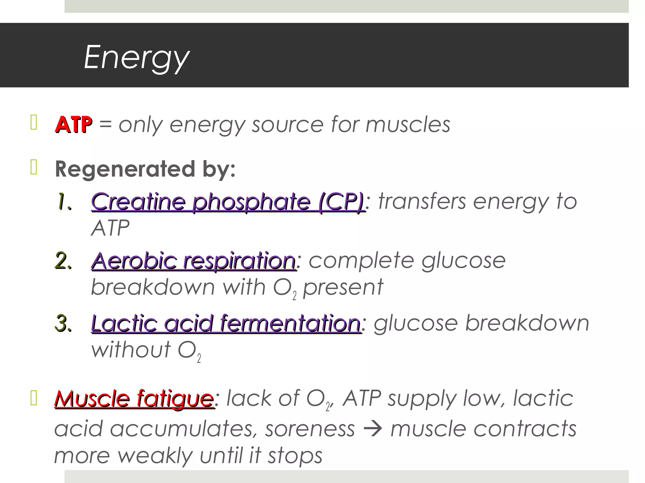 Anatomy & Physiology Lecture Notes - Muscles & muscle tissue | PPT