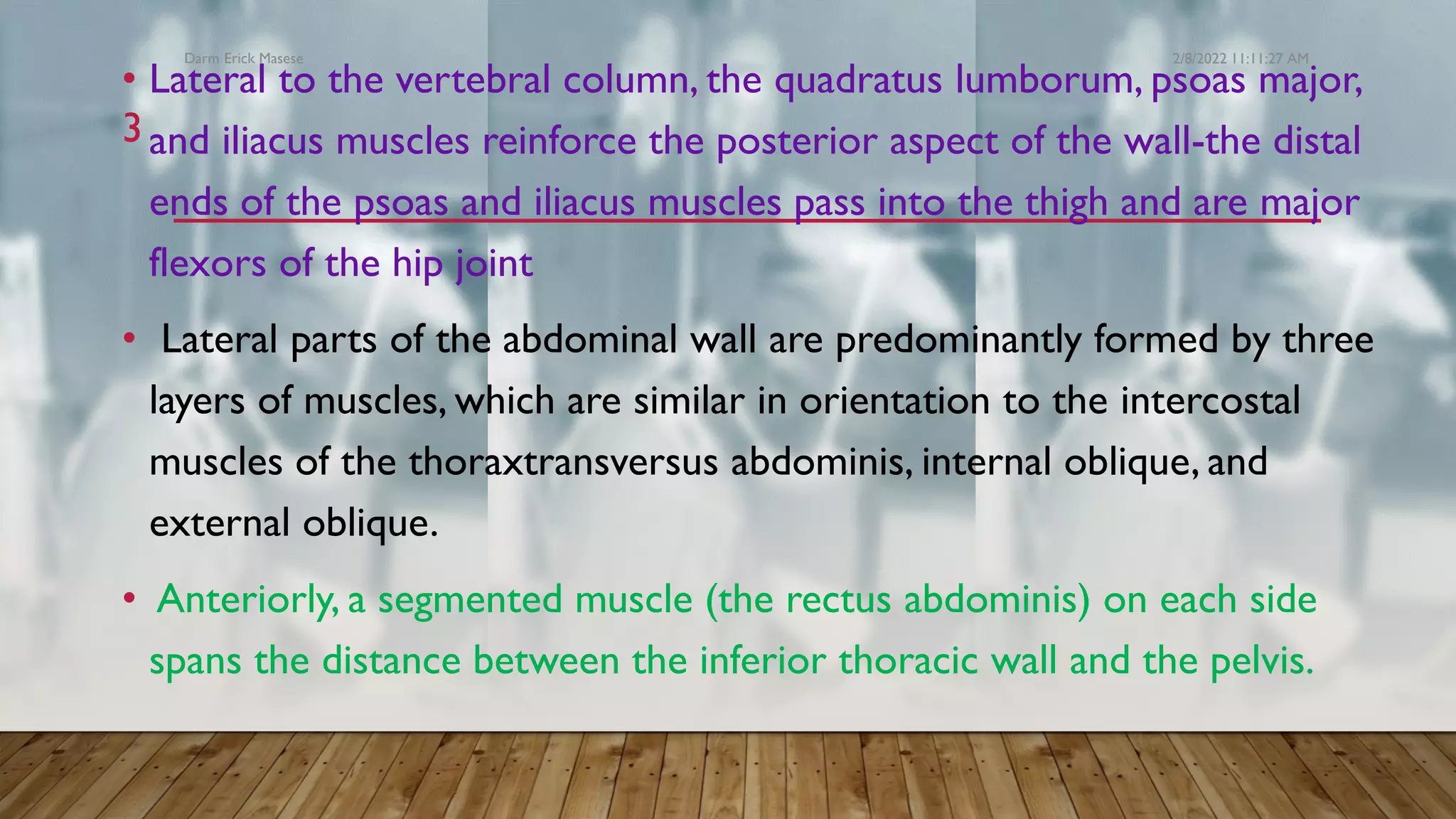 Muscles of abdomen, pelvis and lower limbs | PDF