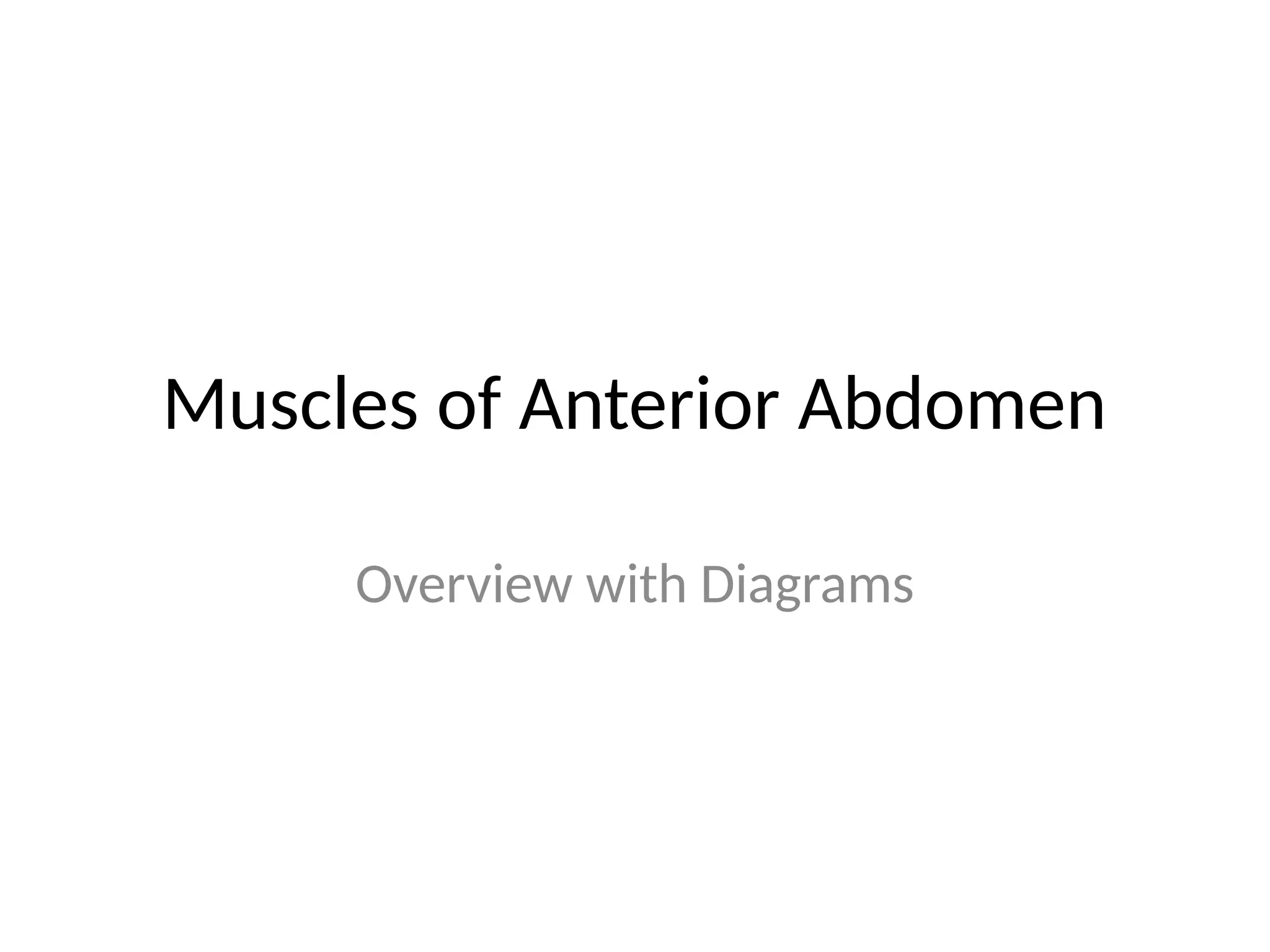 Muscles_of_Anterior_Abdomen_Presentation_with_Diagrams.pptx