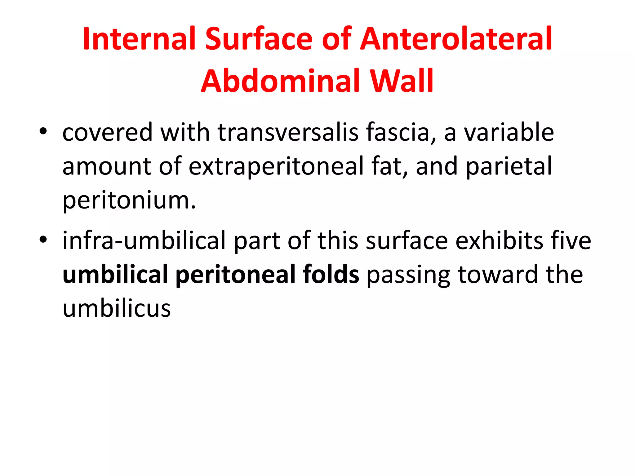 Muscles Of Anterolateral Abdominal Wall.pptx