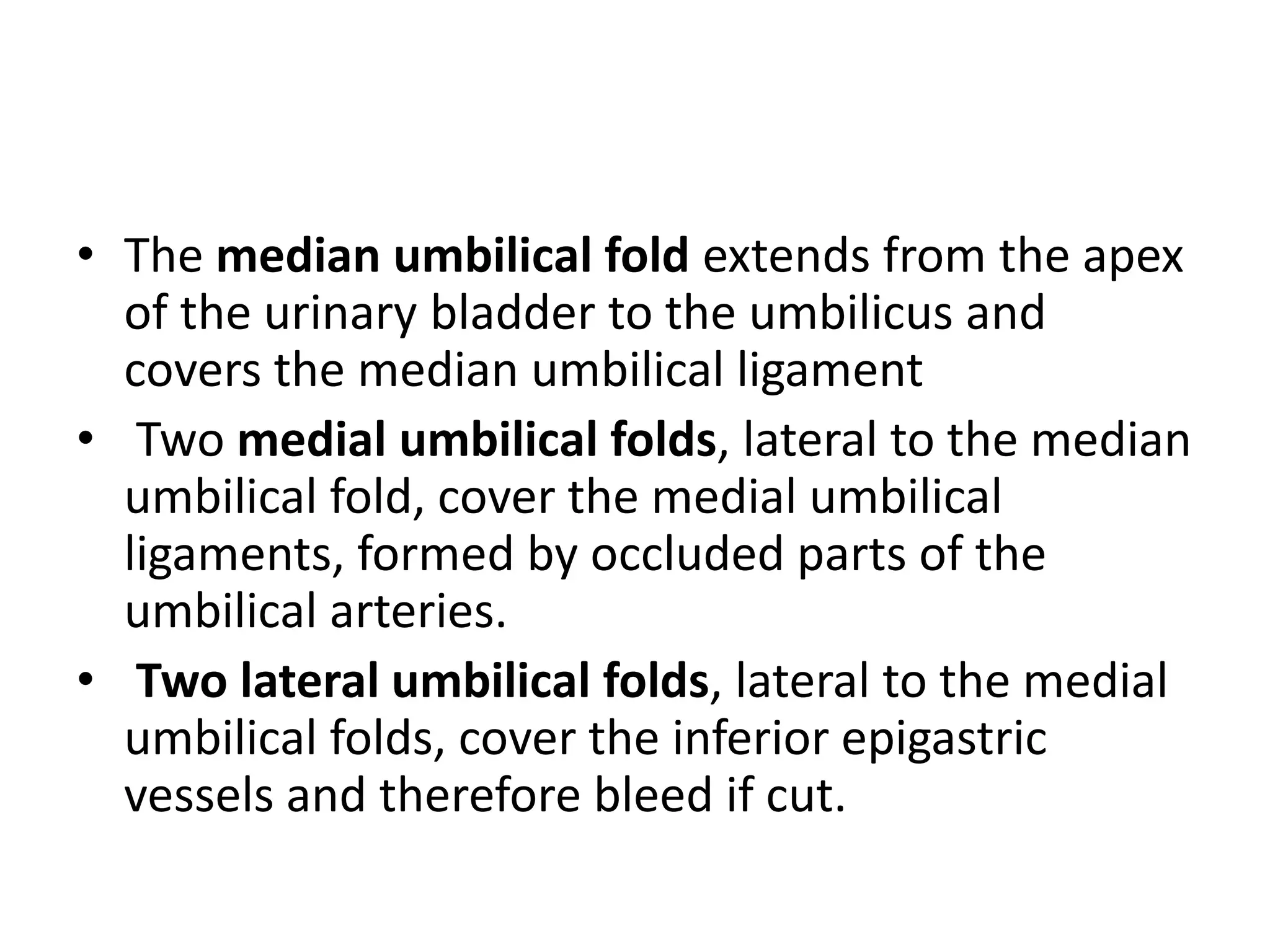 Muscles Of Anterolateral Abdominal Wall.pptx