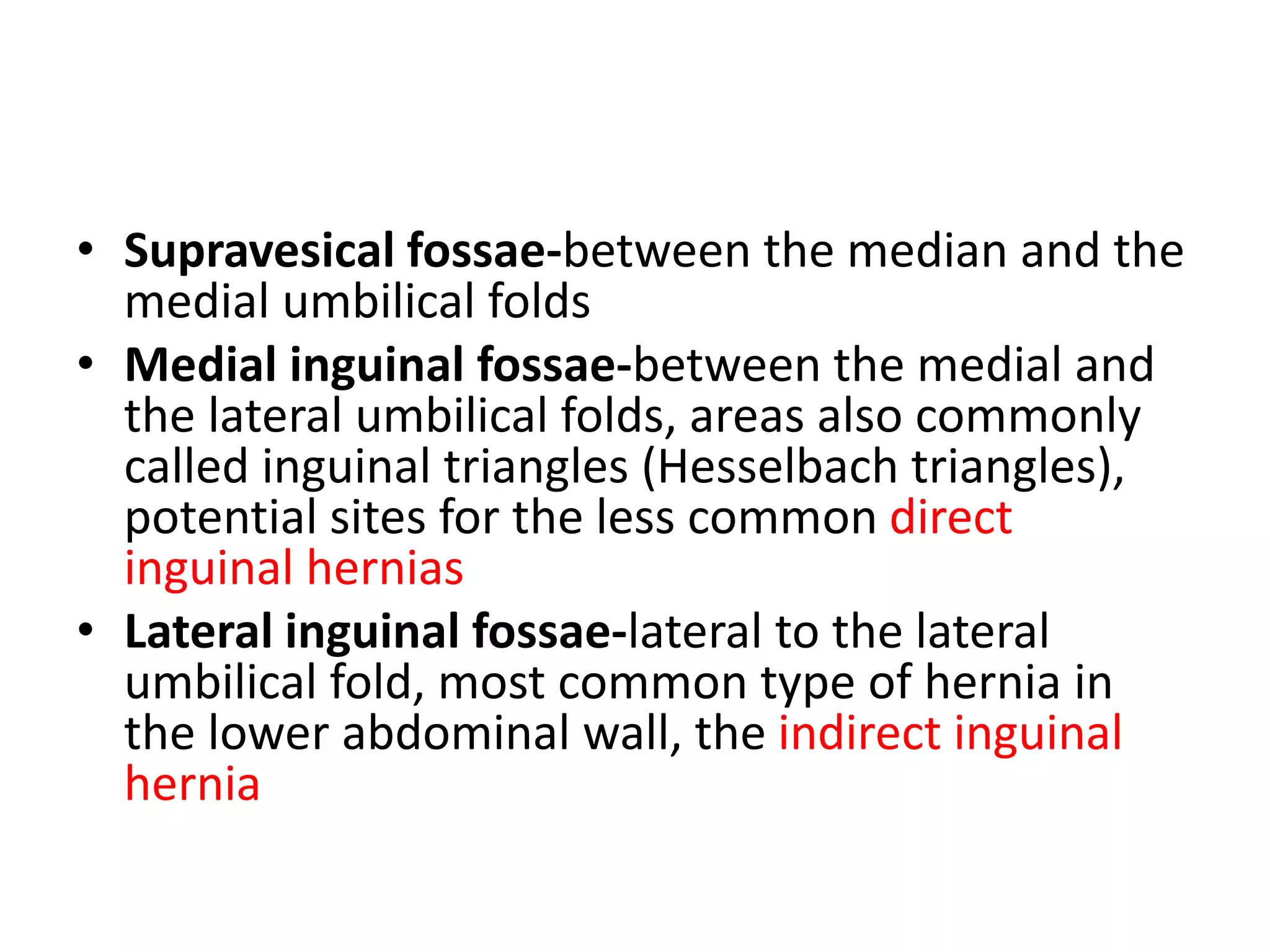 Muscles Of Anterolateral Abdominal Wall.pptx