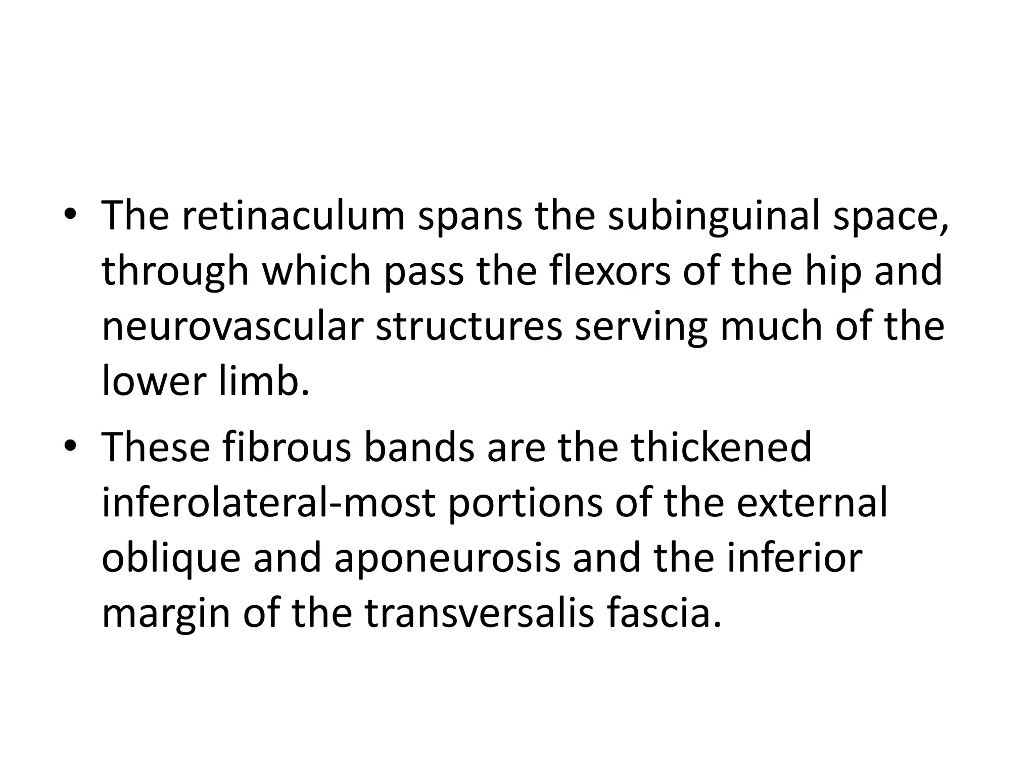 Muscles Of Anterolateral Abdominal Wall.pptx
