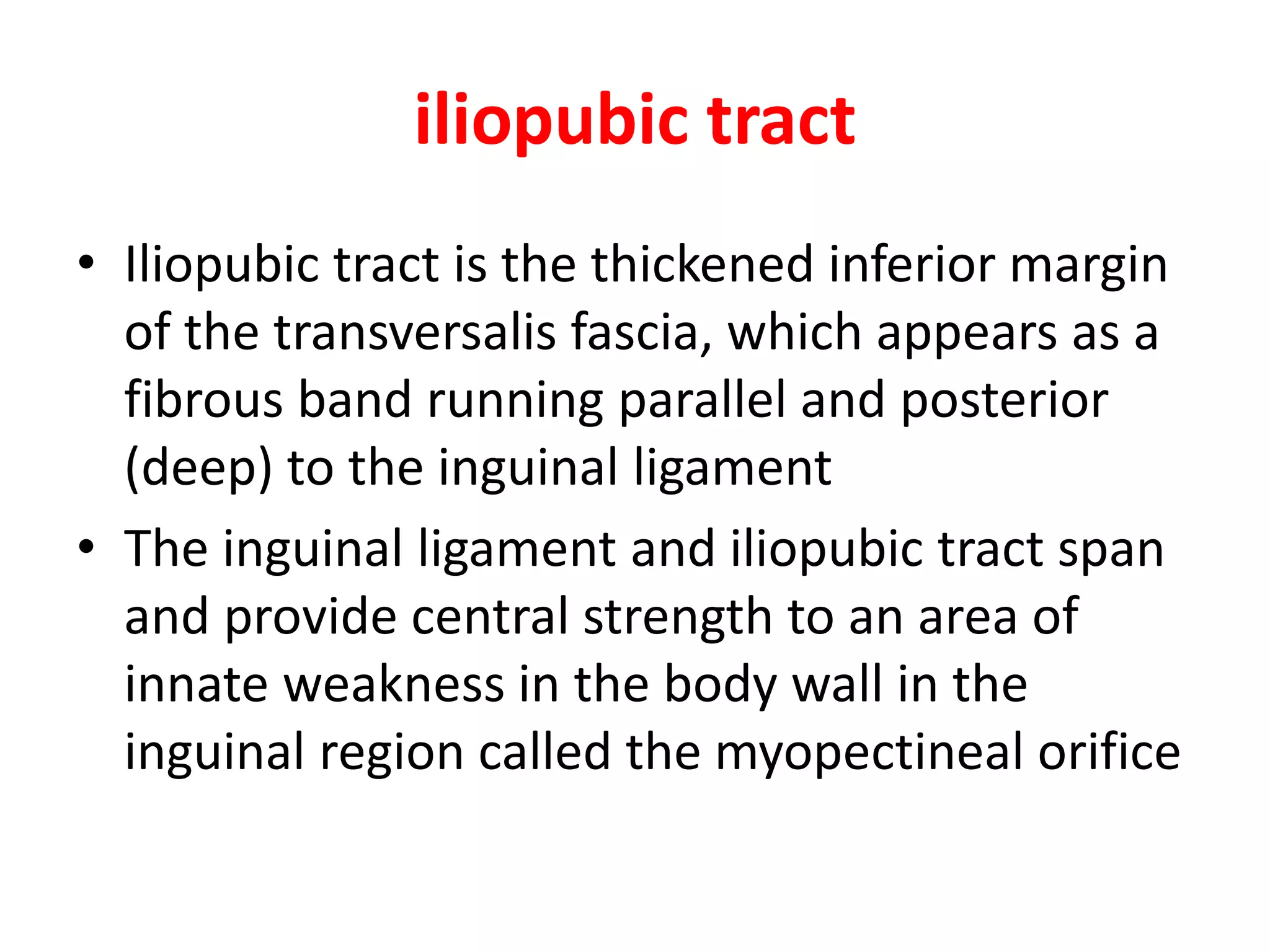 Muscles Of Anterolateral Abdominal Wall.pptx
