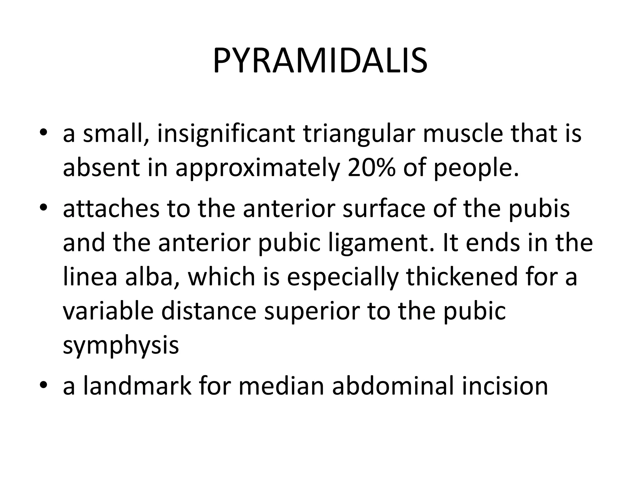Muscles Of Anterolateral Abdominal Wall.pptx