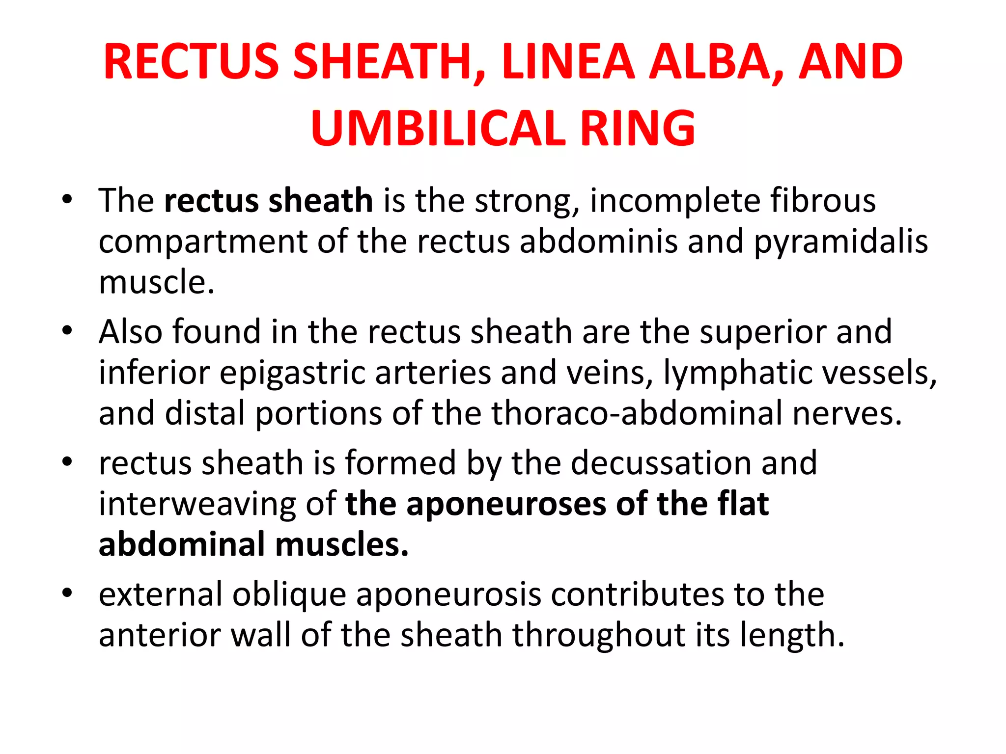 Muscles Of Anterolateral Abdominal Wall.pptx