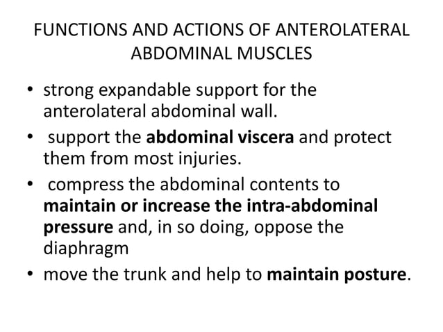 Muscles Of Anterolateral Abdominal Wall.pptx