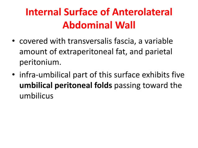 Muscles Of Anterolateral Abdominal Wall.pptx