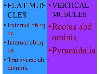 Muscles of anteroletral abdominal wall.pptx