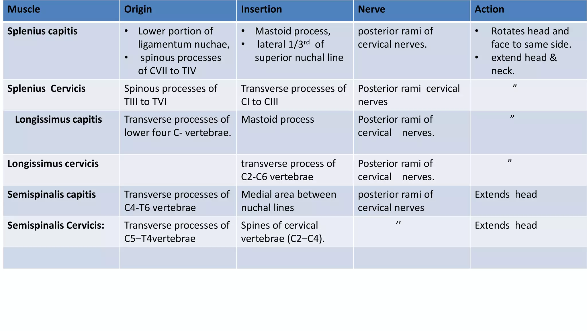Muscles of back, Suboccipital triangle | PPT