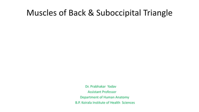 Muscles of back, Suboccipital triangle | PPT