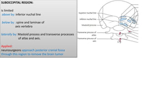 Muscles of back, Suboccipital triangle | PPTX