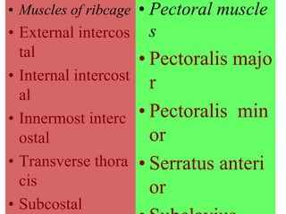 Muscles of chest .pptx