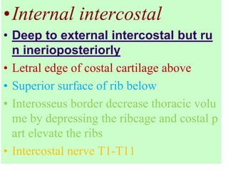 Muscles of chest .pptx