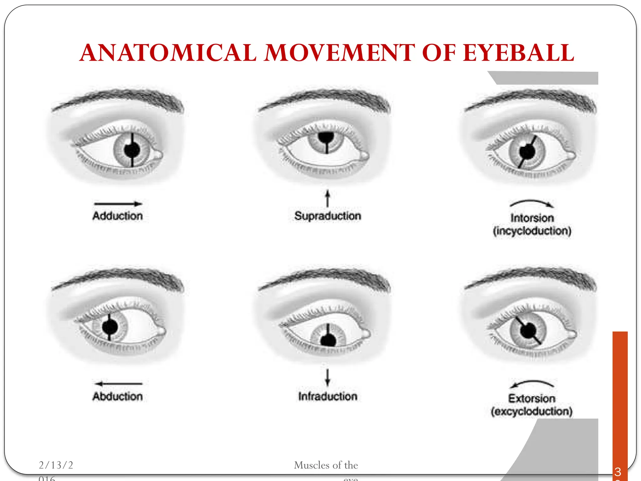 Anatomy of Human muscles of eye.pptx