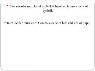 Anatomy of Human muscles of eye.pptx