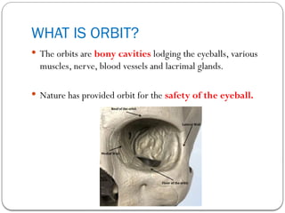 Anatomy of Human muscles of eye.pptx