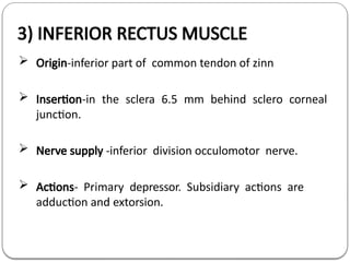 Anatomy of Human muscles of eye.pptx