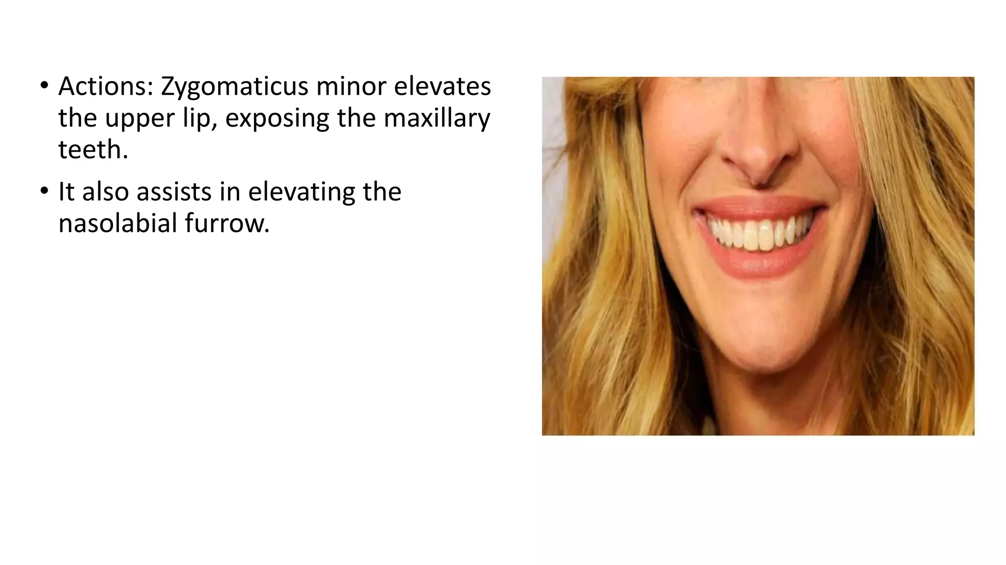 Muscles of Face.pptx