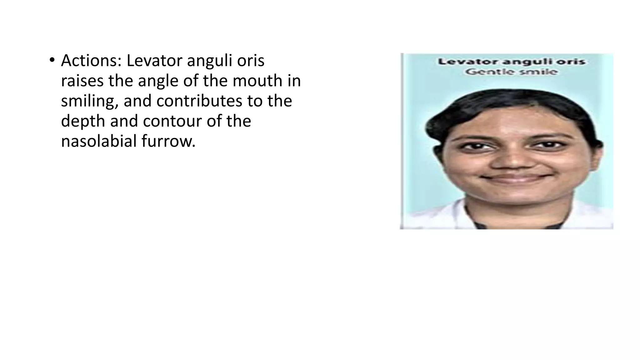 Muscles of Face.pptx