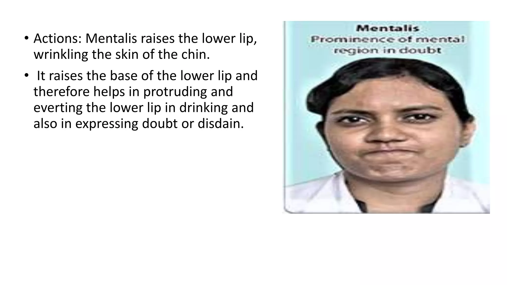 Muscles of Face.pptx