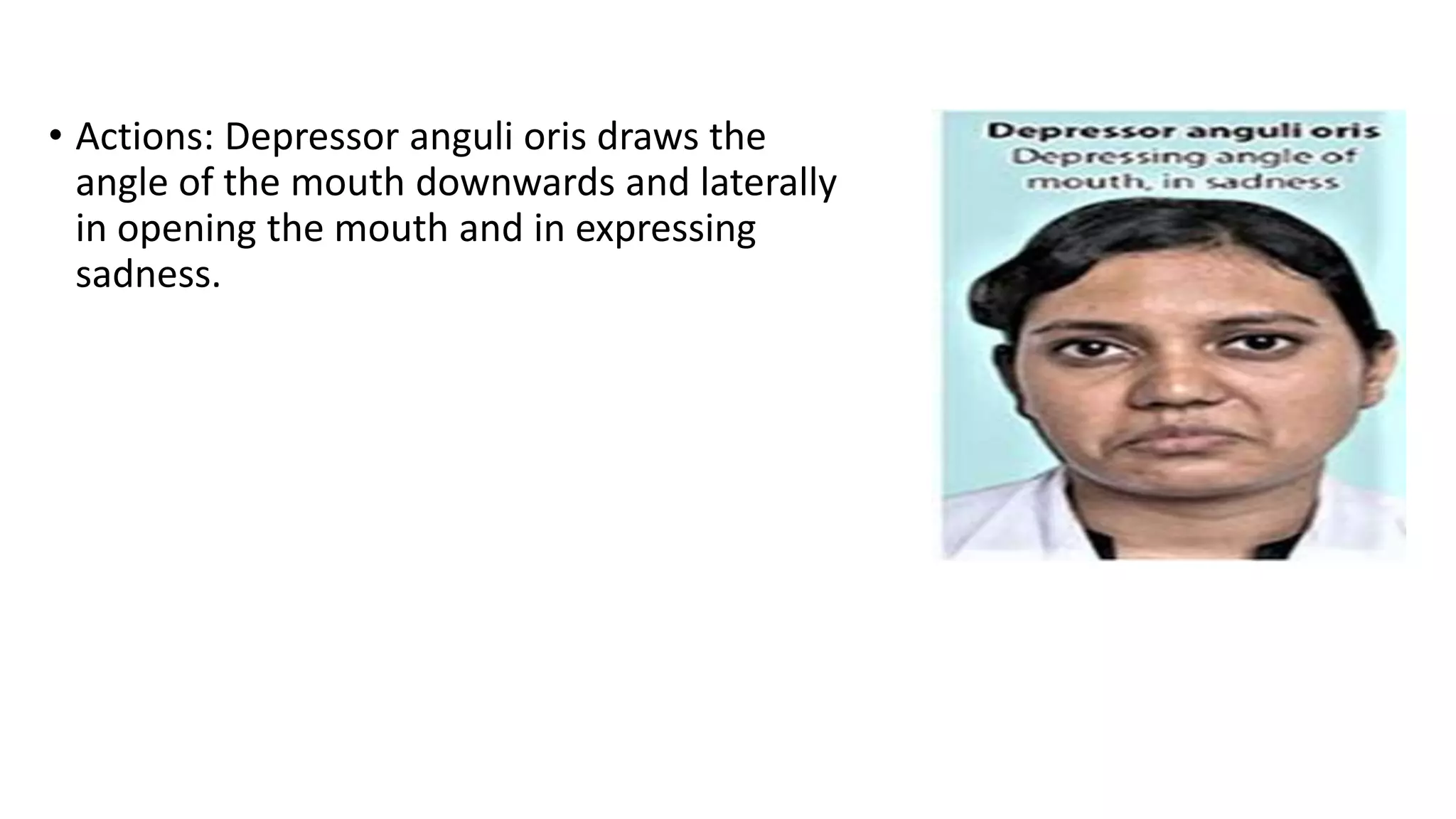 Muscles of Face.pptx