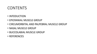 Muscles of Face.pptx