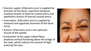 Muscles of Face.pptx