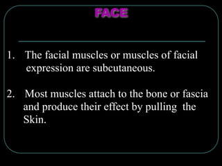 Muscles of Face and facial expressions with nerve and blood supply | PDF