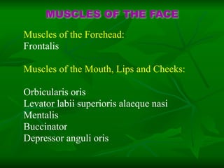 Muscles of Face and facial expressions with nerve and blood supply | PDF