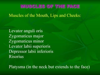 Muscles of Face and facial expressions with nerve and blood supply | PDF