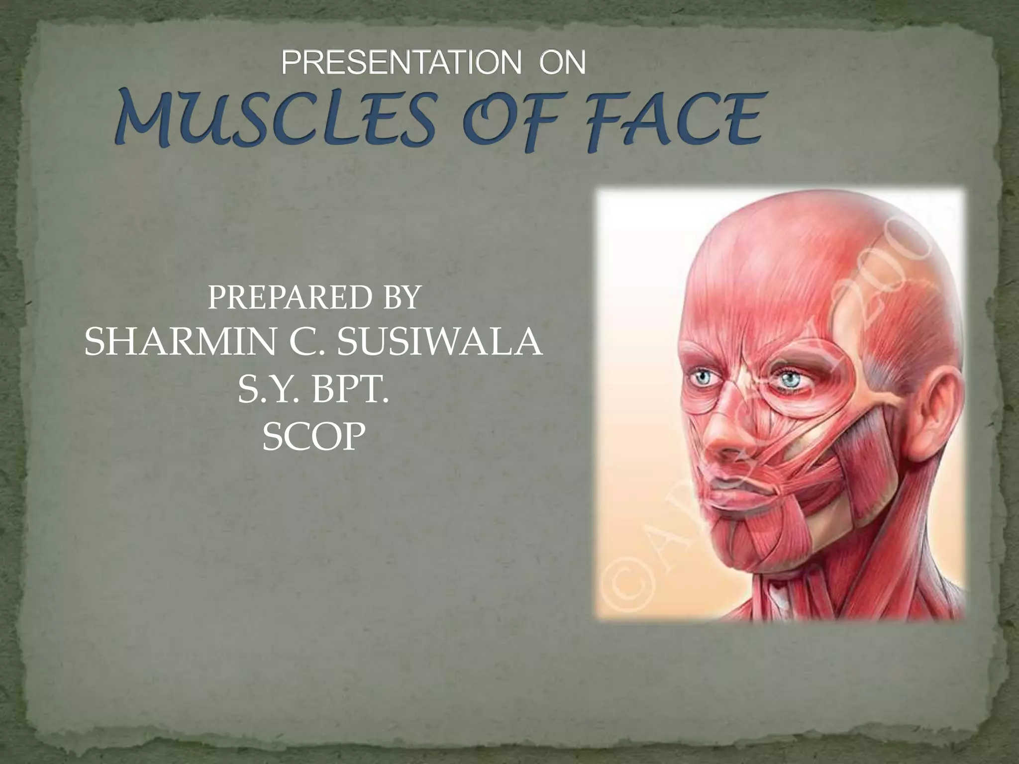 Muscles of face | PPTX | Eye and Vision Conditions | Diseases and ...