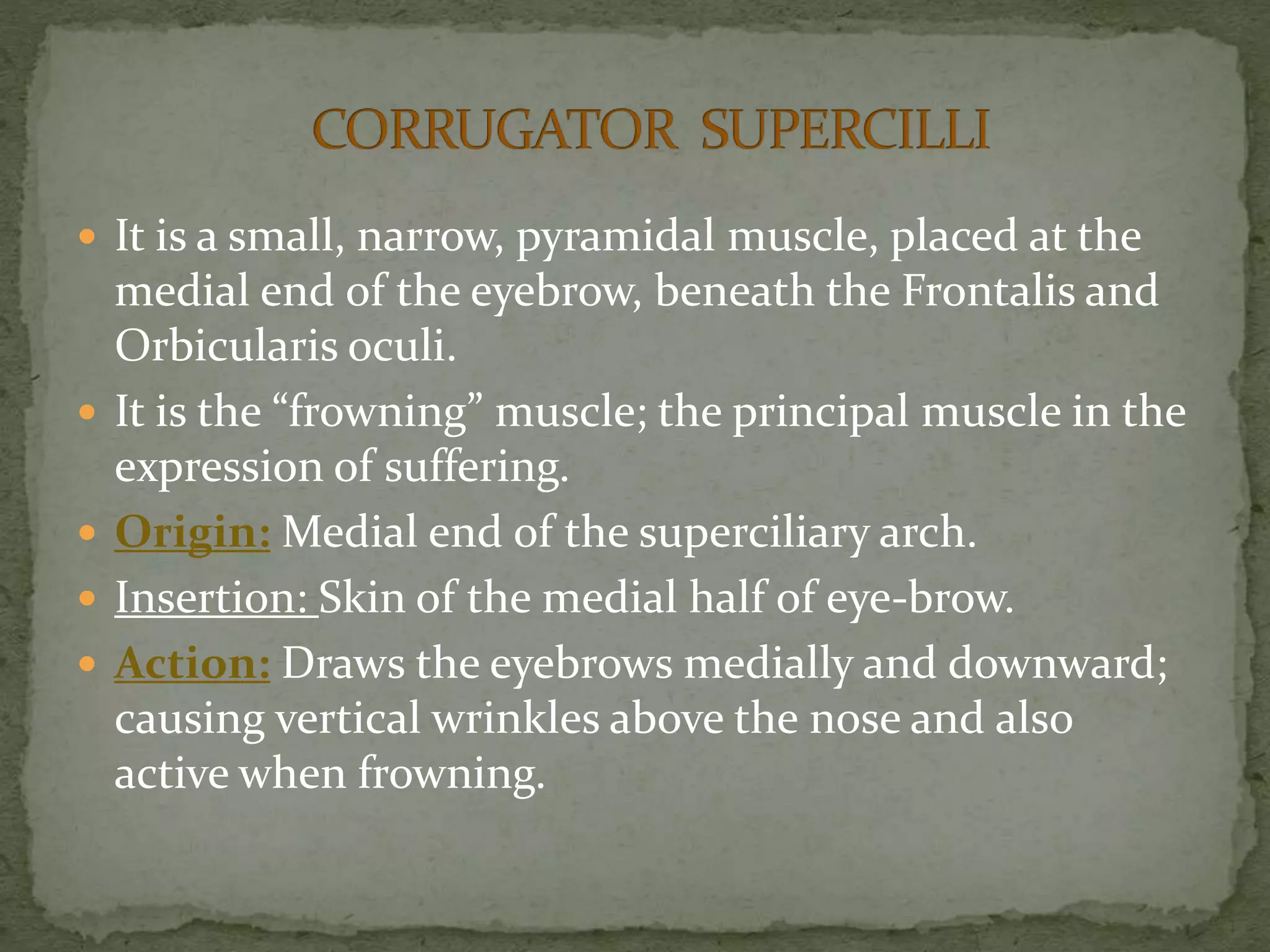Muscles of face | PPTX