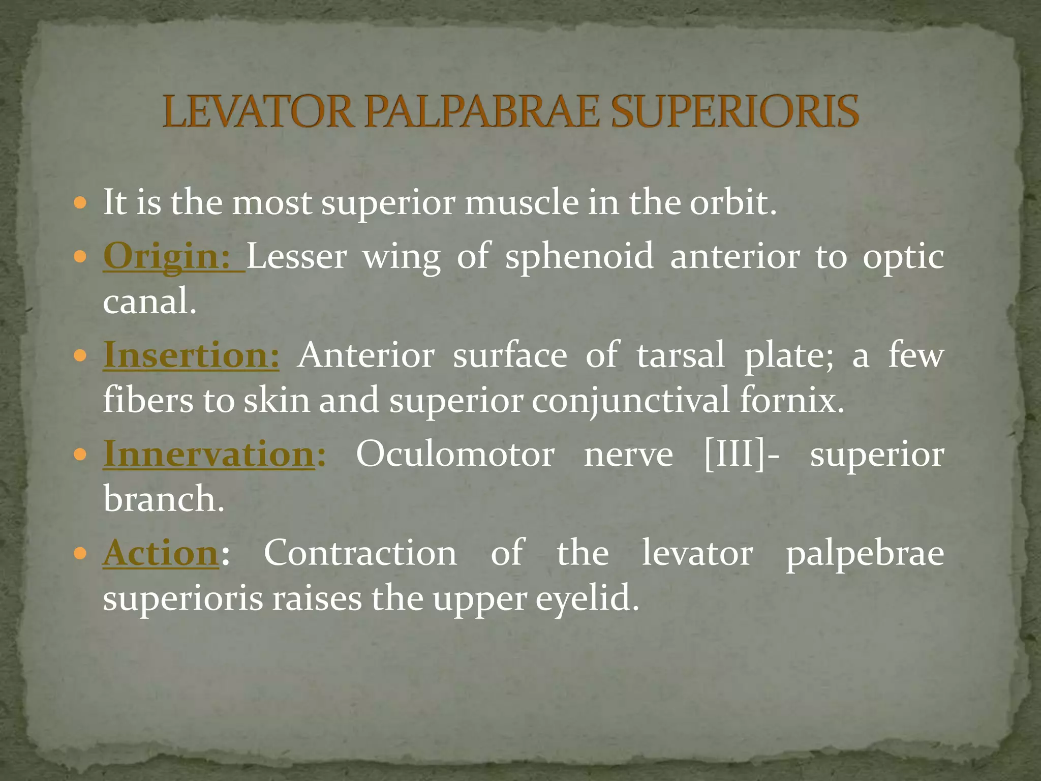 Muscles of face | PPTX
