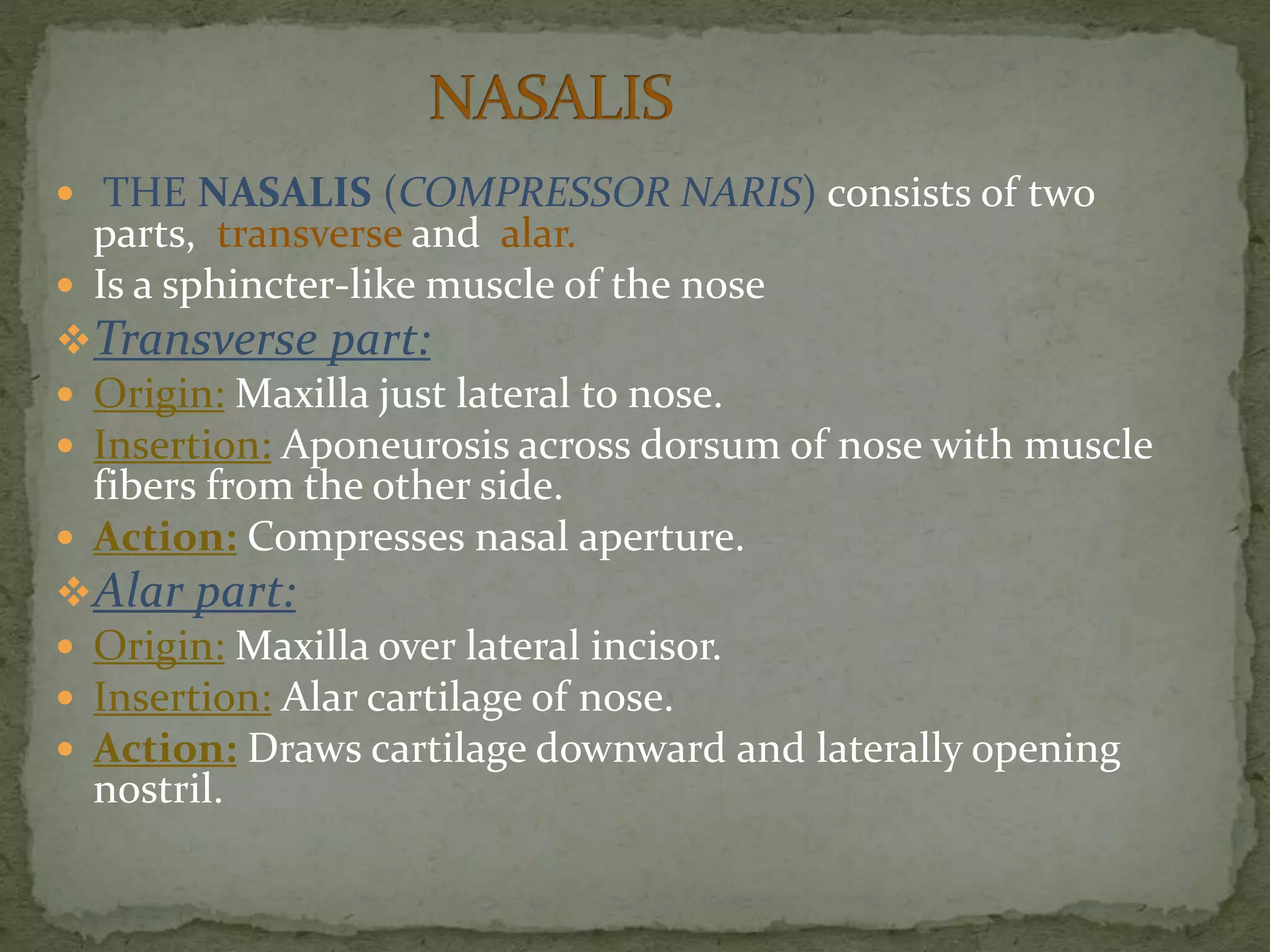 Muscles of face | PPTX