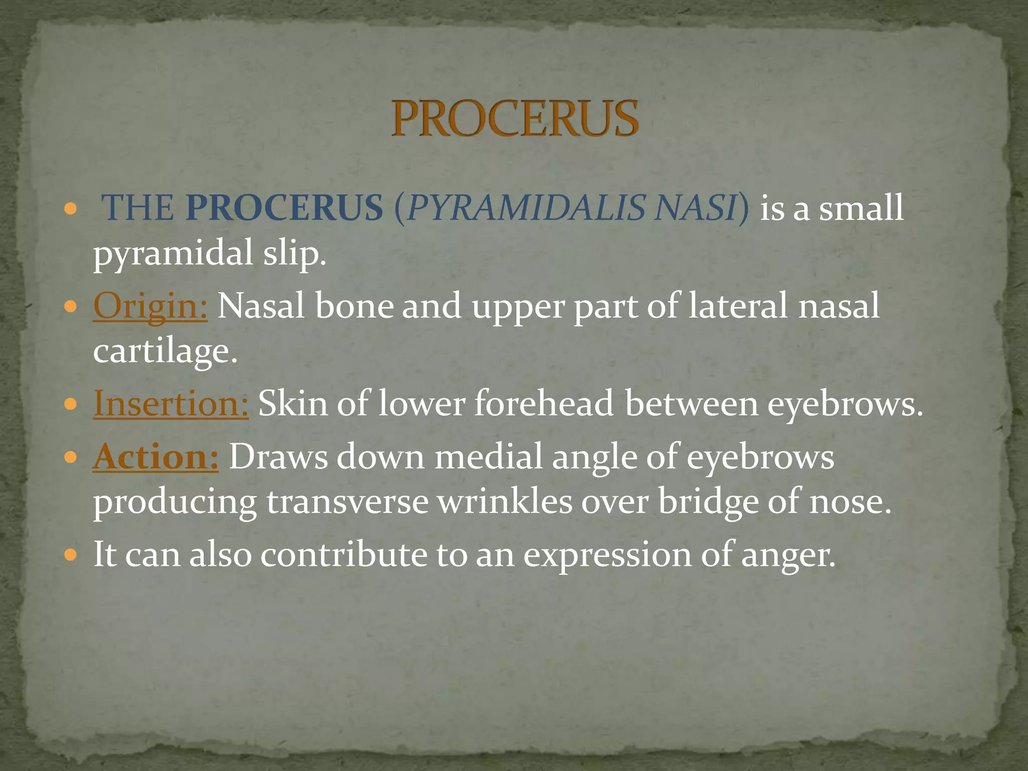Muscles of face | PPTX