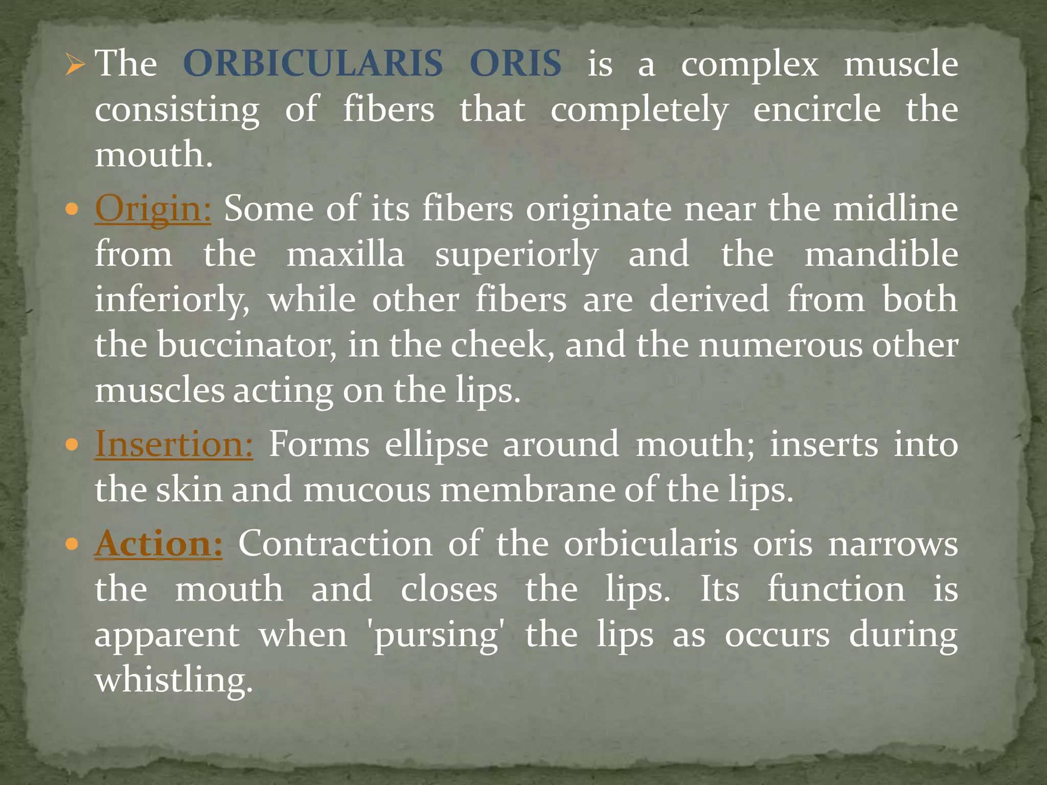 Muscles of face | PPTX