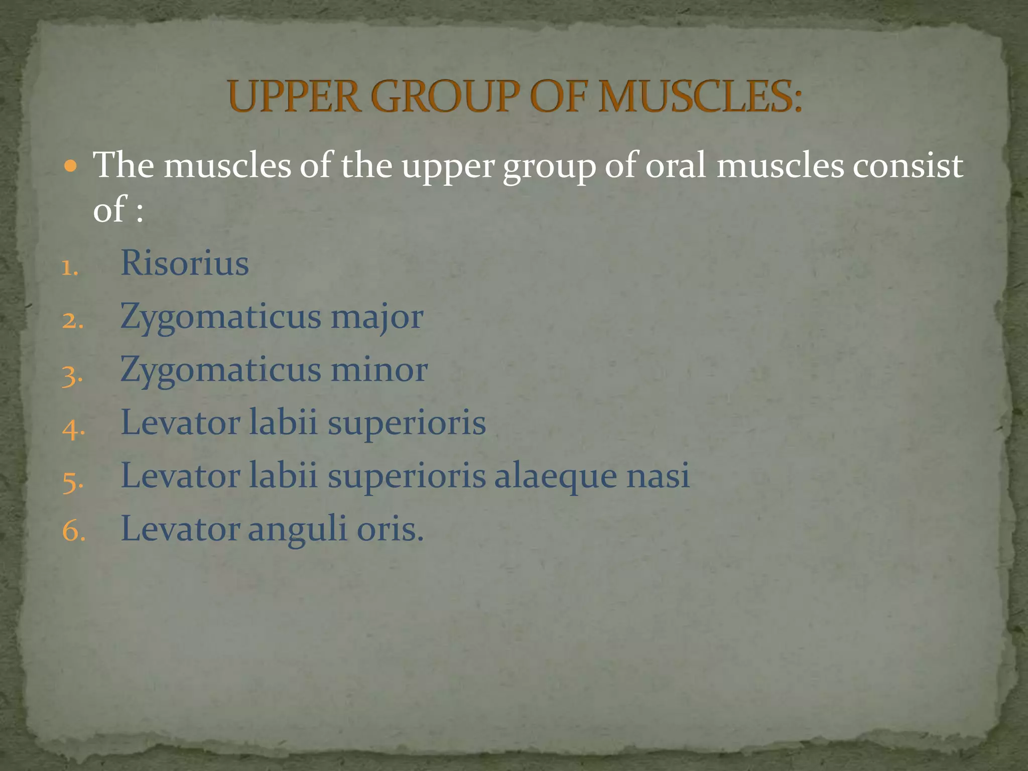 Muscles of face | PPTX
