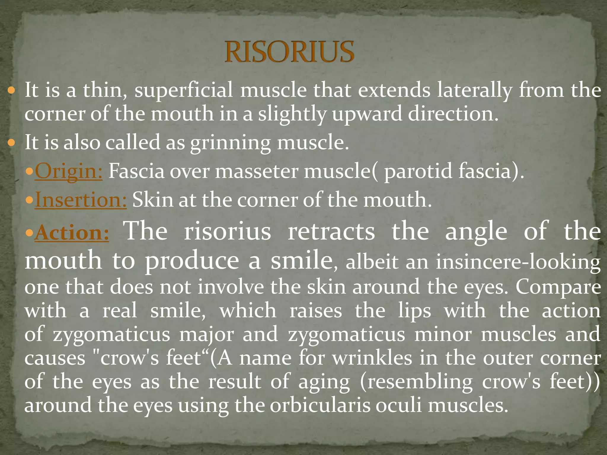 Muscles of face | PPTX