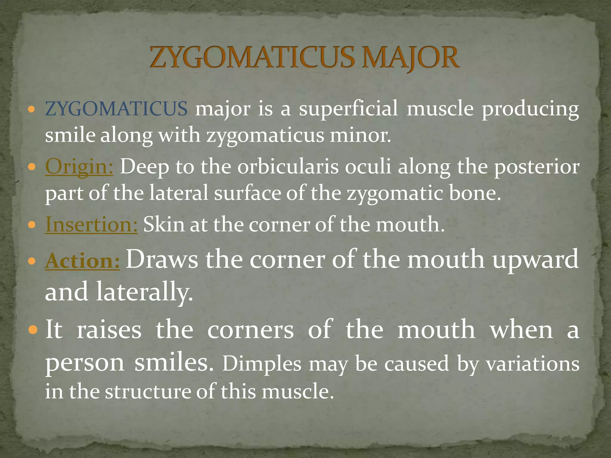 Muscles of face | PPTX