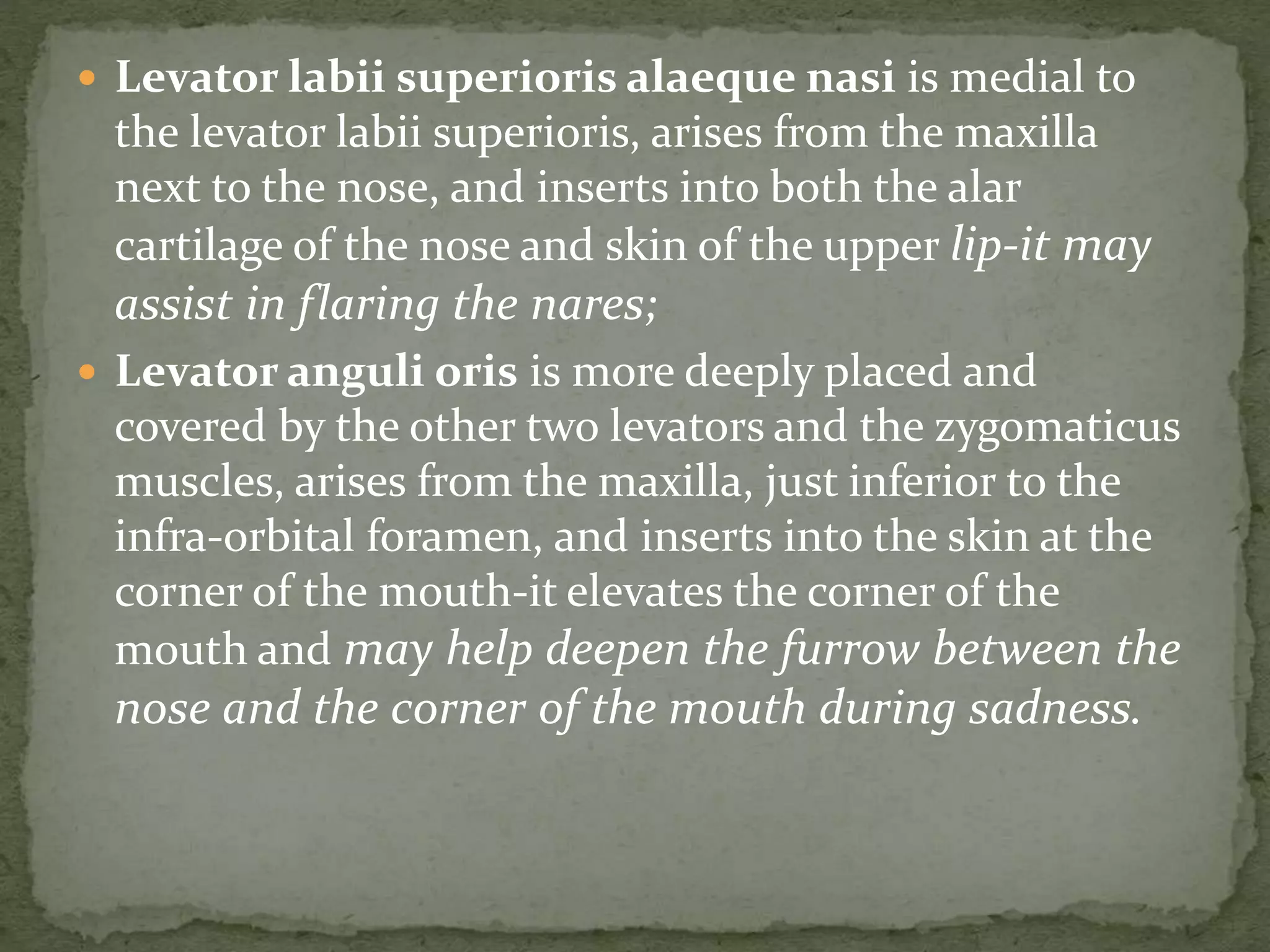 Muscles of face | PPTX