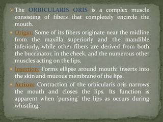 Muscles of face | PPTX