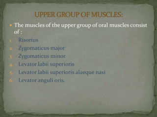 Muscles of face | PPTX