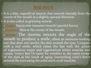 Muscles of face | PPTX