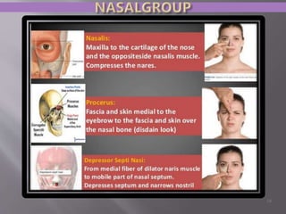 Muscles of Face and Cranial Nerves.pptx