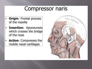 Muscles of Face and Cranial Nerves.pptx
